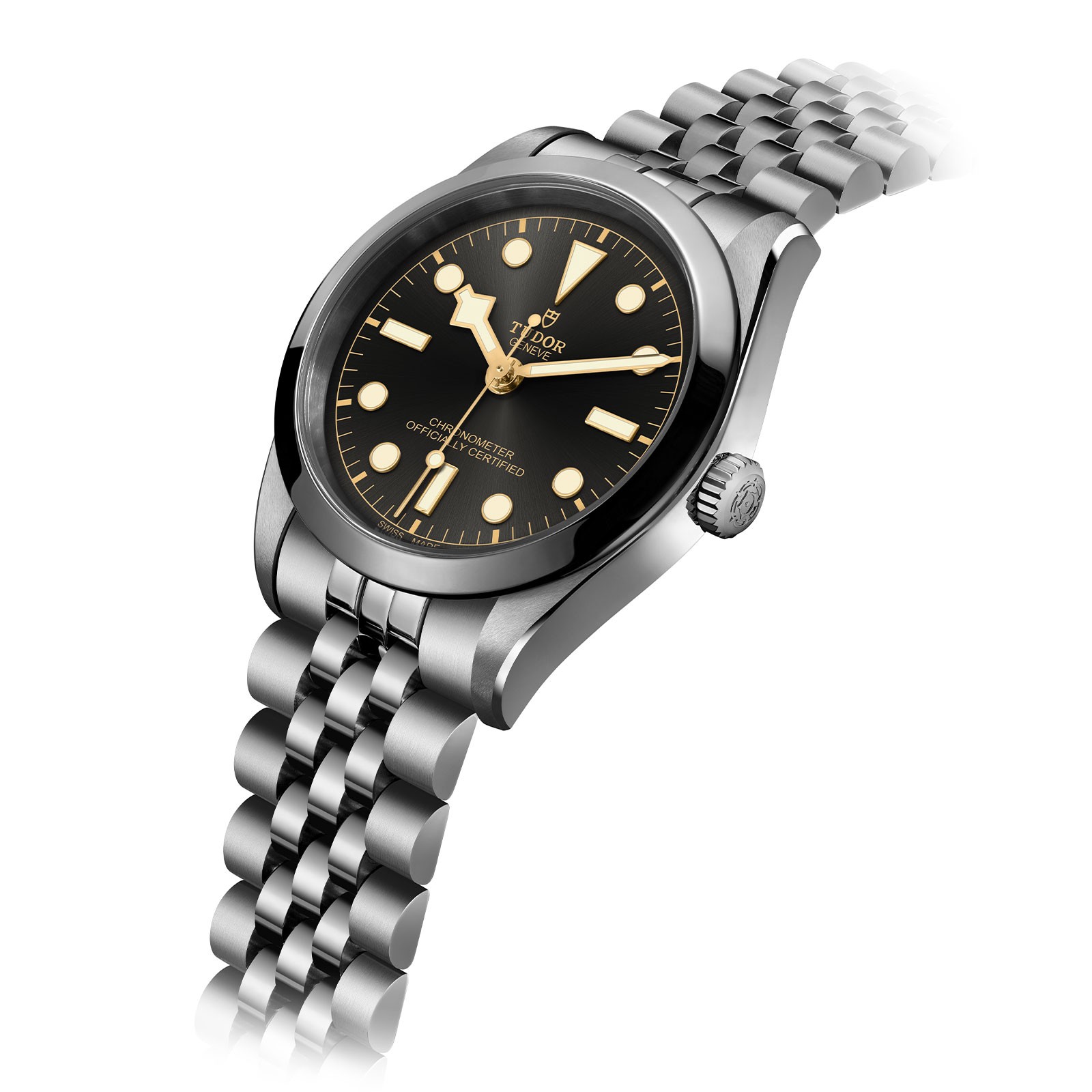 TUDOR Black Bay 36 Automatic Watch M79640-0001